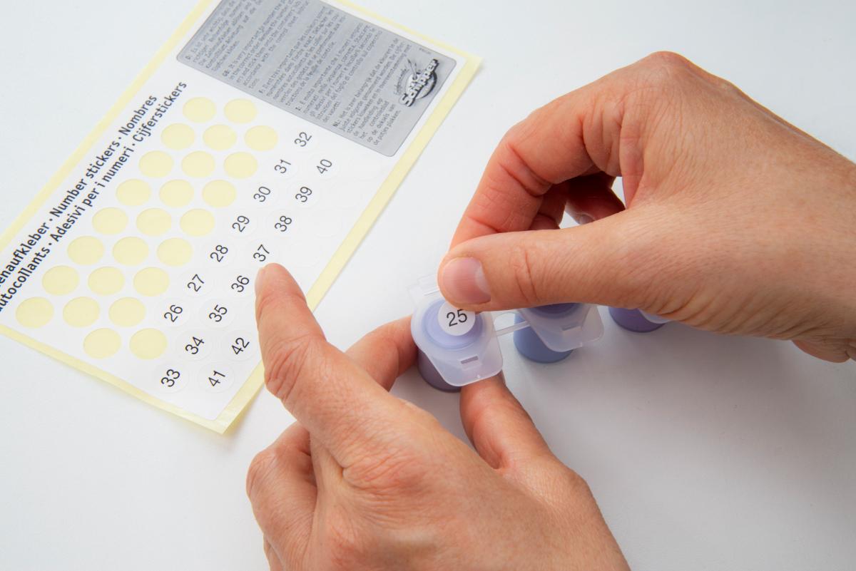 Blog: Painting by numbers for beginners | Schipper