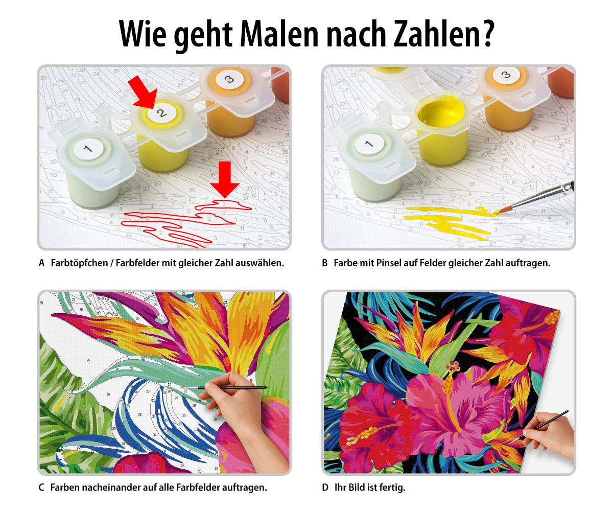 Malen Nach Zahlen Tipps